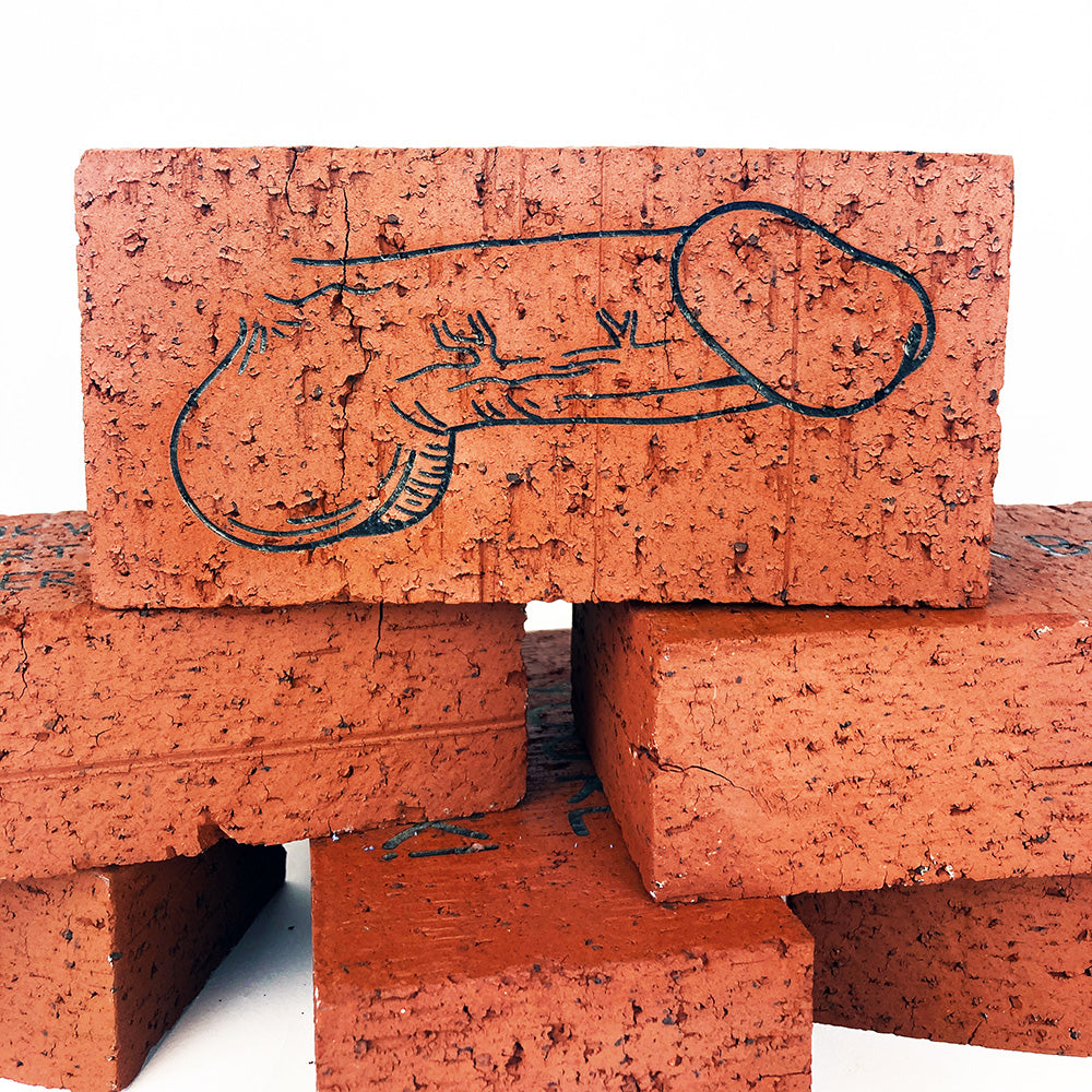 Ship A Brick – ShipADick.com